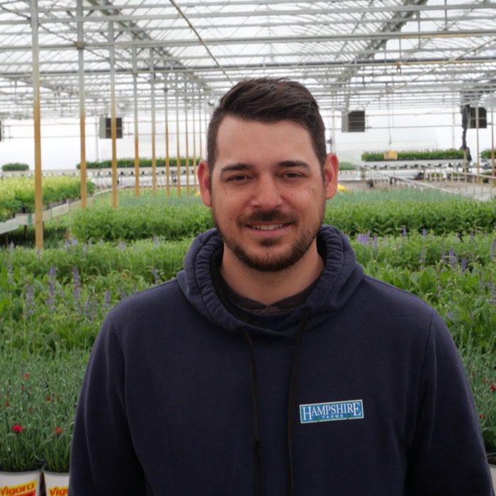 Hampshire Farms | Wholesale Greenhouse Illinois